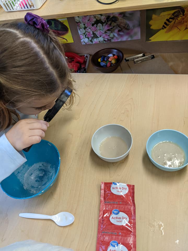 My Sunshine Child Development Center - SC First Steps