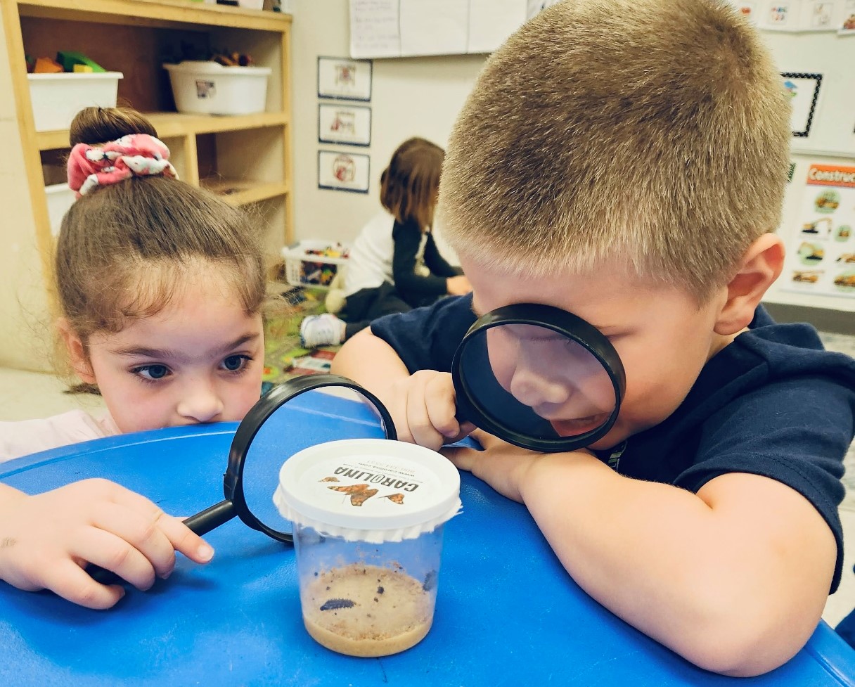 Valorous Academy - SC First Steps